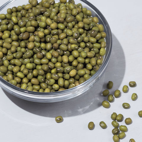 Buy Wholesale Thailand Green Mung Bean - Mung Bean & Green Mung Bean ...