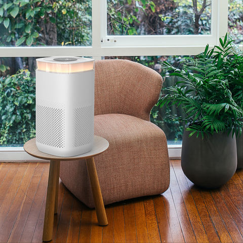 Buy Wholesale China High Cost Effective And High-end Air Purifier With ...