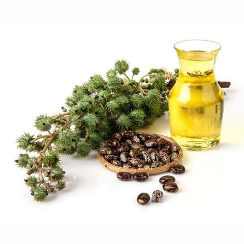 Refined Castor Oil - Explore South Africa Wholesale Castor Oil, Castor ...
