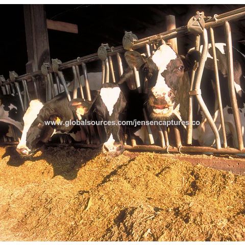 Buy Wholesale Canada Fermented Soybean Meal & Fermented Soybean Meal ...