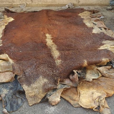 Buy Wholesale Thailand Oem Service 100% Genuine Cow Wet Blue Leather ...