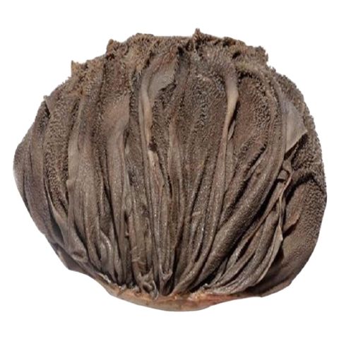 Buy Wholesale Kenya Salted Beef Omasum & Beef Omasum at USD 1500 | Global Sources