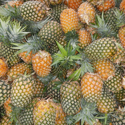 Buy Wholesale Kenya Pineapple Fruit Possible Raw Pineapple Fruit ...