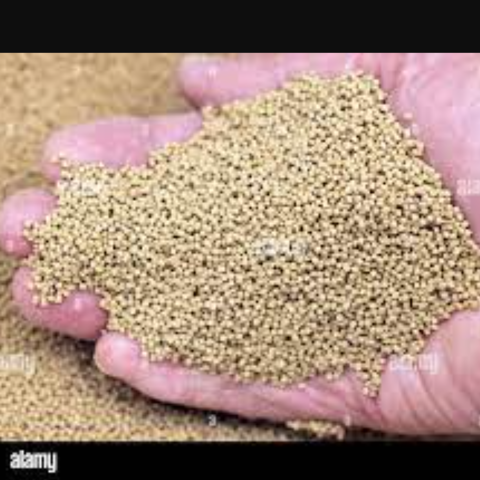 Buy Wholesale South Africa Bulk Fish Animal Feed Manufacture Fish Meal ...