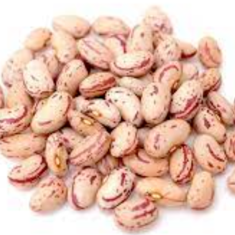 Buy Wholesale South Africa Roman High Quality Beans & Roman Beans ...