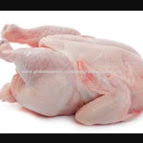 Buy Wholesale South Africa Frozen Whole Chicken & Frozen Whole Chicken ...