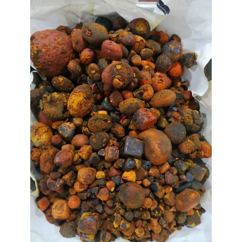 Buy Wholesale Canada Organic Dried Ox Cow Stone & Organic Dried Ox Cow ...