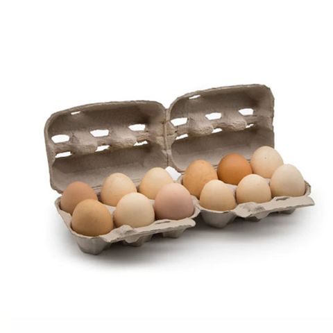 Buy Wholesale Canada Best Quality Wholesale High Quality For Sale Fresh ...