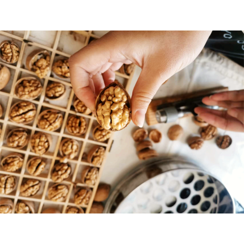 Buy Wholesale China 2022 New Crop Chinese Walnut 185 Yunnan 33 Xiner ...