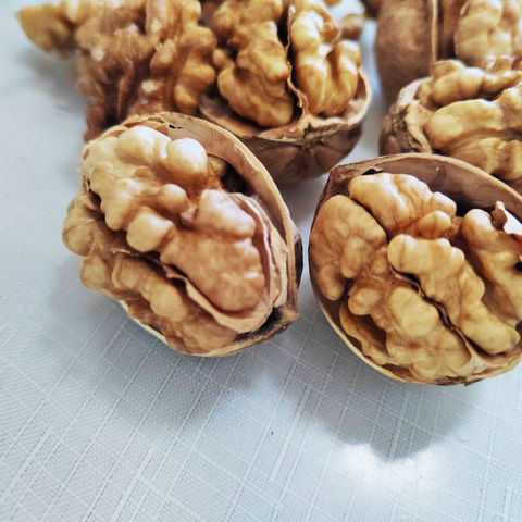 Buy Wholesale China Qaulity Wholesale 185 Walnut Kernels Factory Price ...