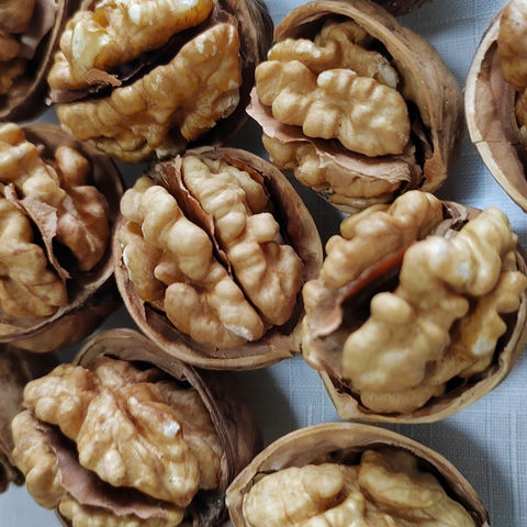 Buy Wholesale China Wholesale High Quality 185 Walnut Kernels New Crop ...