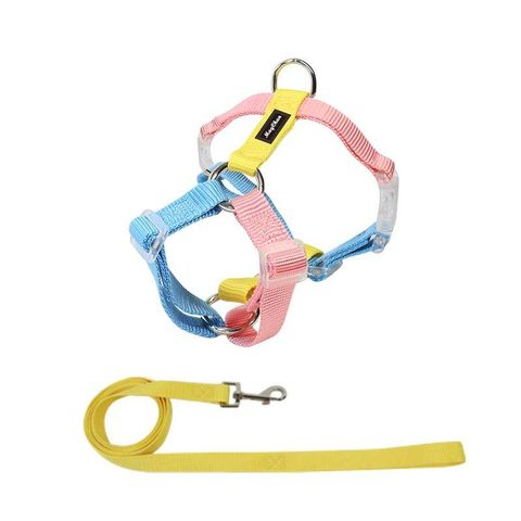 Buy Wholesale China Maychan Custom No Pull Colorful Dog Harness With ...