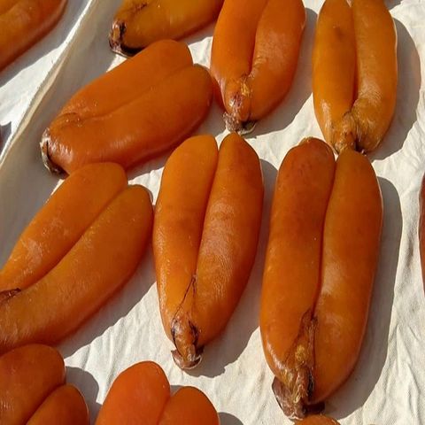 Buy Wholesale Thailand Frozen Mullet Roe/fresh Mullet Fish Roe /eggs ...