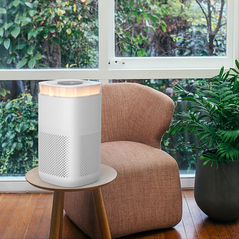 Buy Wholesale China High Cost Effective And Air Purifier With Auto Mode ...