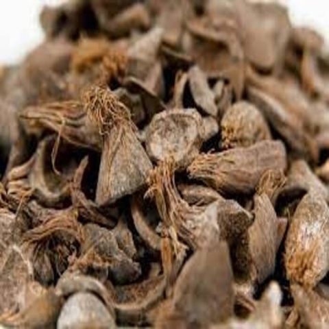 Buy Wholesale United States High Quality Palm Kernel Shell /palm Kernel ...