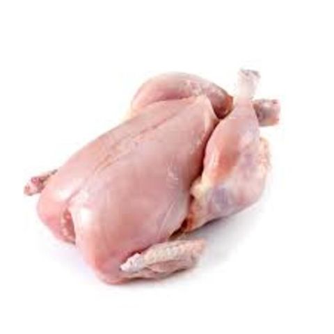 Buy Wholesale United States Quality Supplier Halal Whole Chicken Halal ...