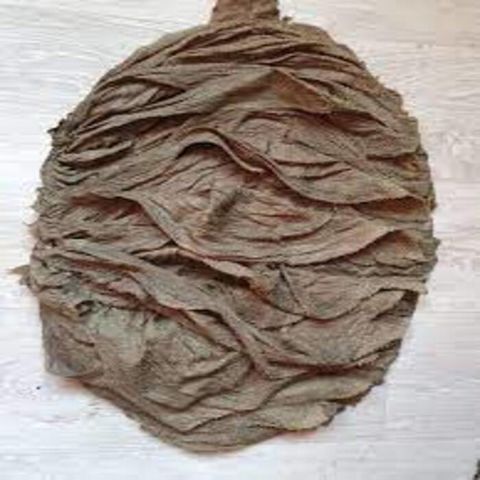 Buy Wholesale United States 100% Pure Frozen Beef Omasa (omasum ...