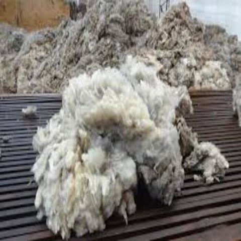 Buy Wholesale United States Raw Washed Sheep Wool / Wool Fiber For ...