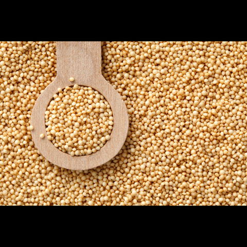 Buy Wholesale United States Top Quality Amaranth In Wholesale Price ...