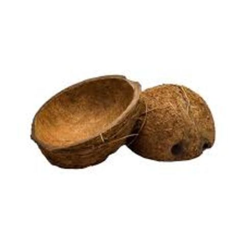 Buy Wholesale United States Wholesale Best Quality Coconut Shell ...