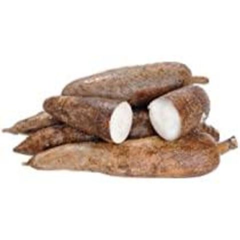 Buy Wholesale United States Fresh Cassava / Tapioca / Manioc / Yucca ...