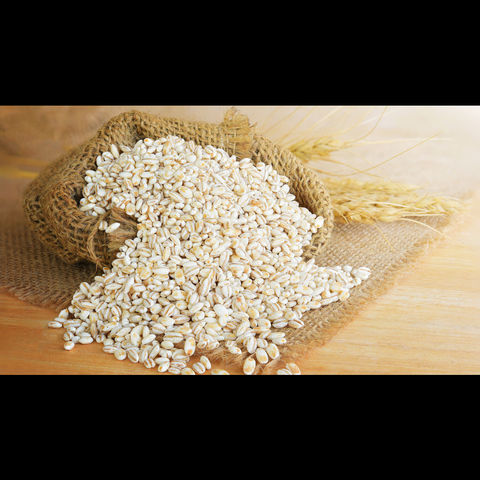 Buy Wholesale United States Wholesaler Of Barley Seeds & Barley, Animal ...