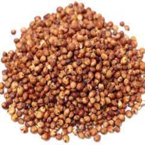 Buy Wholesale United States Best Quality Organic Red Sorghum & White ...