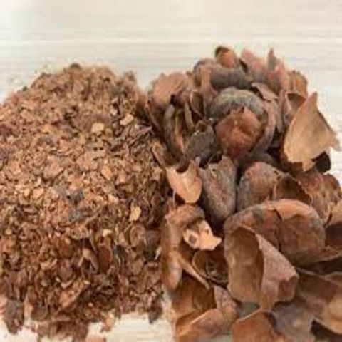 Best Quality Cocoa Beans Shell, Cocoa Beans Shell, Cacao Shell, Cacao ...