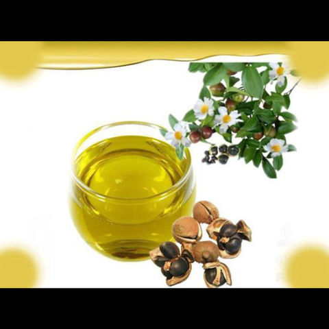 Buy Wholesale United States Hot Selling Camellia Cooking Oil In ...