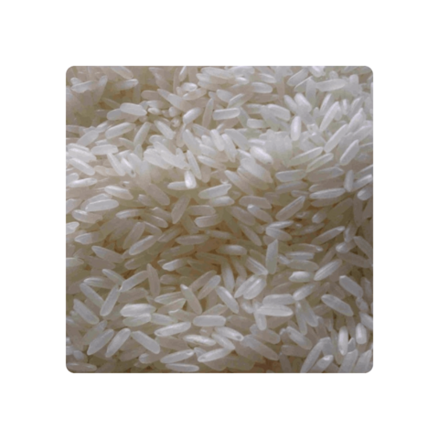 Buy Wholesale United States 100% Broken Perfume Rice & White Rice 504 ...