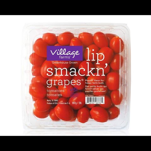 Buy Wholesale United States Fresh Red Farm Harvested Tomatoes ...