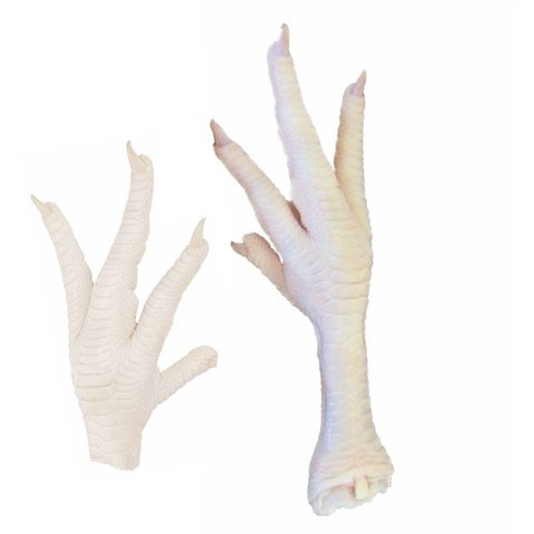 Buy Wholesale Canada Brazil Frozen Chicken Paws & Frozen Chicken Paws ...