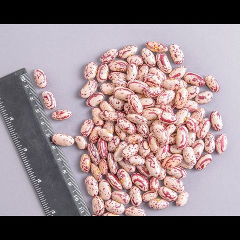 Buy Wholesale United States Top Quality Roasted Kidney Beans In ...