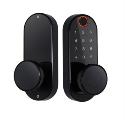 Buy Wholesale China Factory Delivery Smart Door Lock Smart Multi Point ...