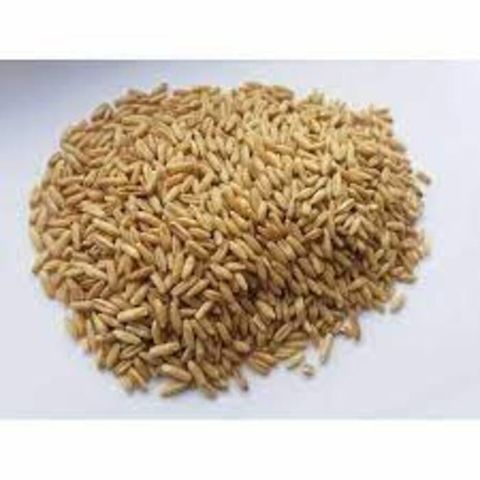 Buy Wholesale United States Best Quality Oats Groats Organic & Oats ...