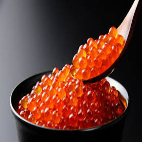 Buy Wholesale United States Frozen Salmon Roe & Salmon Roe, Conch ...