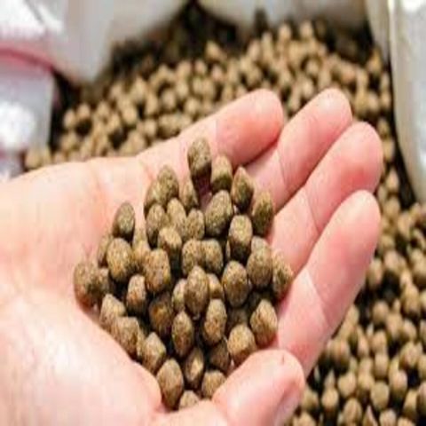 Buy Wholesale United States Animal Feed Fish Meal & Poultry Meal, Fish ...