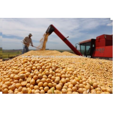 Buy Wholesale South Africa Non-gmo Soya Beans For Sale Yellow Soybeans ...