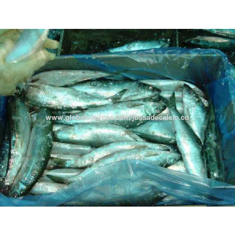 Buy Wholesale South Africa Iqf Black Tiger Shrimp Wholesale Frozen ...