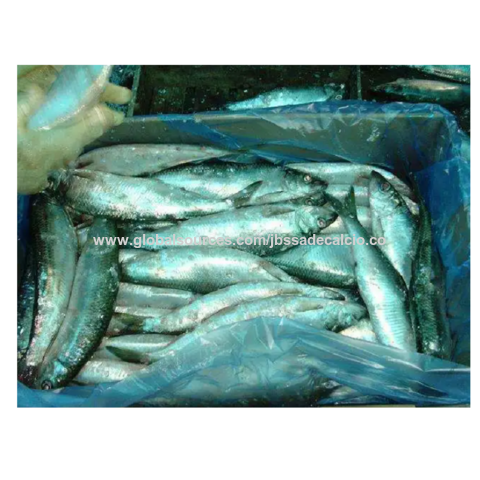 Buy Wholesale South Africa Wholesale Exporter Fresh / Frozen Atlantic ...
