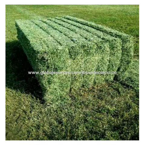 Buy Wholesale South Africa Bulk Top Grade Alfalfa For Animal Feed ...
