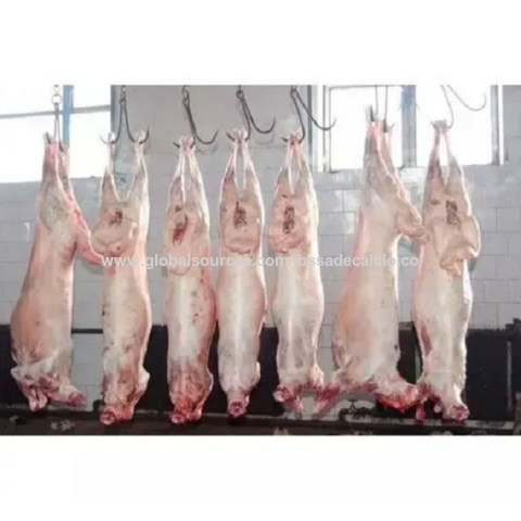 Buy Wholesale South Africa Sheep Tail Fat / Frozen Lamb Tail Fat For ...