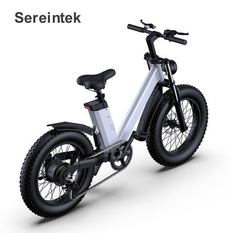 Buy Wholesale China China Manufacture 19 Inch Fat Tire 48v Electric ...