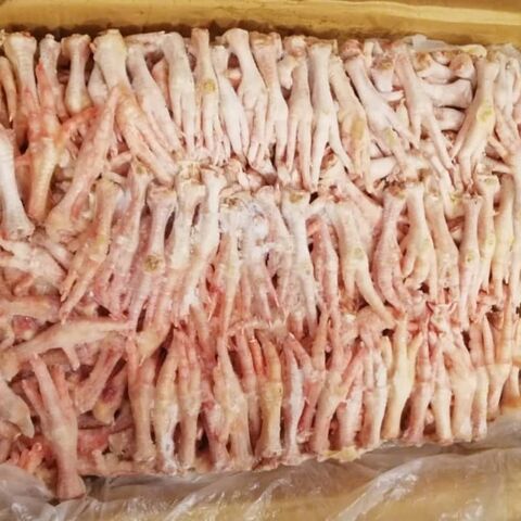 Buy Wholesale United Kingdom Frozen Chicken Feet/ Halal Chicken Feet ...