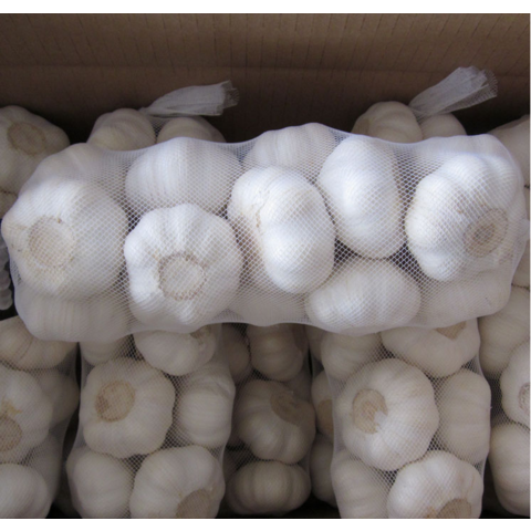 Buy Wholesale United States Wholesale White Garlic Fresh Garlic With ...