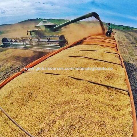 Buy Wholesale South Africa Wheat, Fodder Corn, Fodder Barley/ Wheat ...
