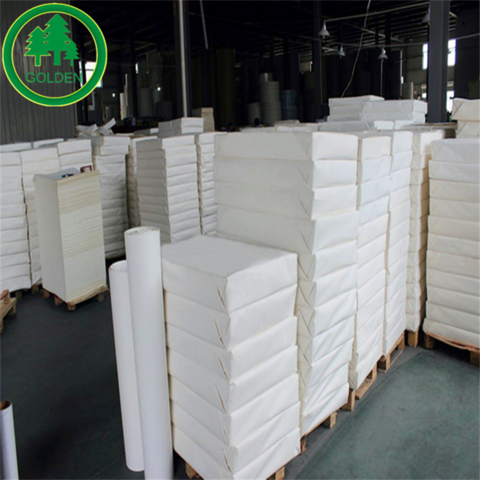 Buy Wholesale China Food Package Cupstock Base Board Biodegradable ...