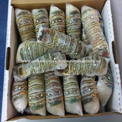 Buy Wholesale South Africa Frozen Lobster Bamboo Tails / Frozen Lobster ...