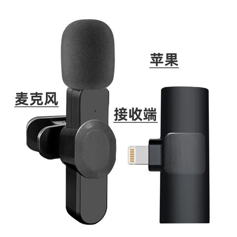 Buy Wholesale China Wireless Handheld Microphones+radio, Recording ...