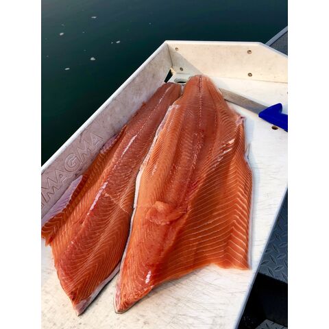 Buy Wholesale Canada Hot Salling Salmon Fillets Fish & Salmon Fillets ...